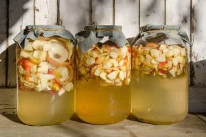 Apple Cider vs. Apple Cider Vinegar: What’s the Difference ...