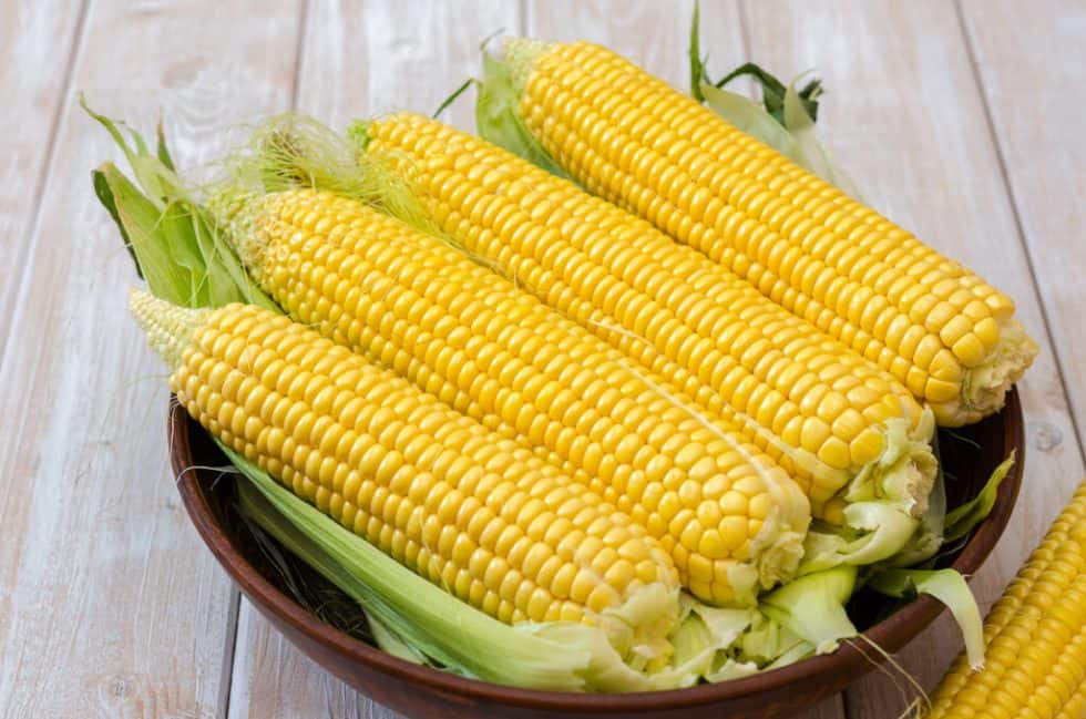 How To Make Corn Cob Jelly - Preserving Sweetness